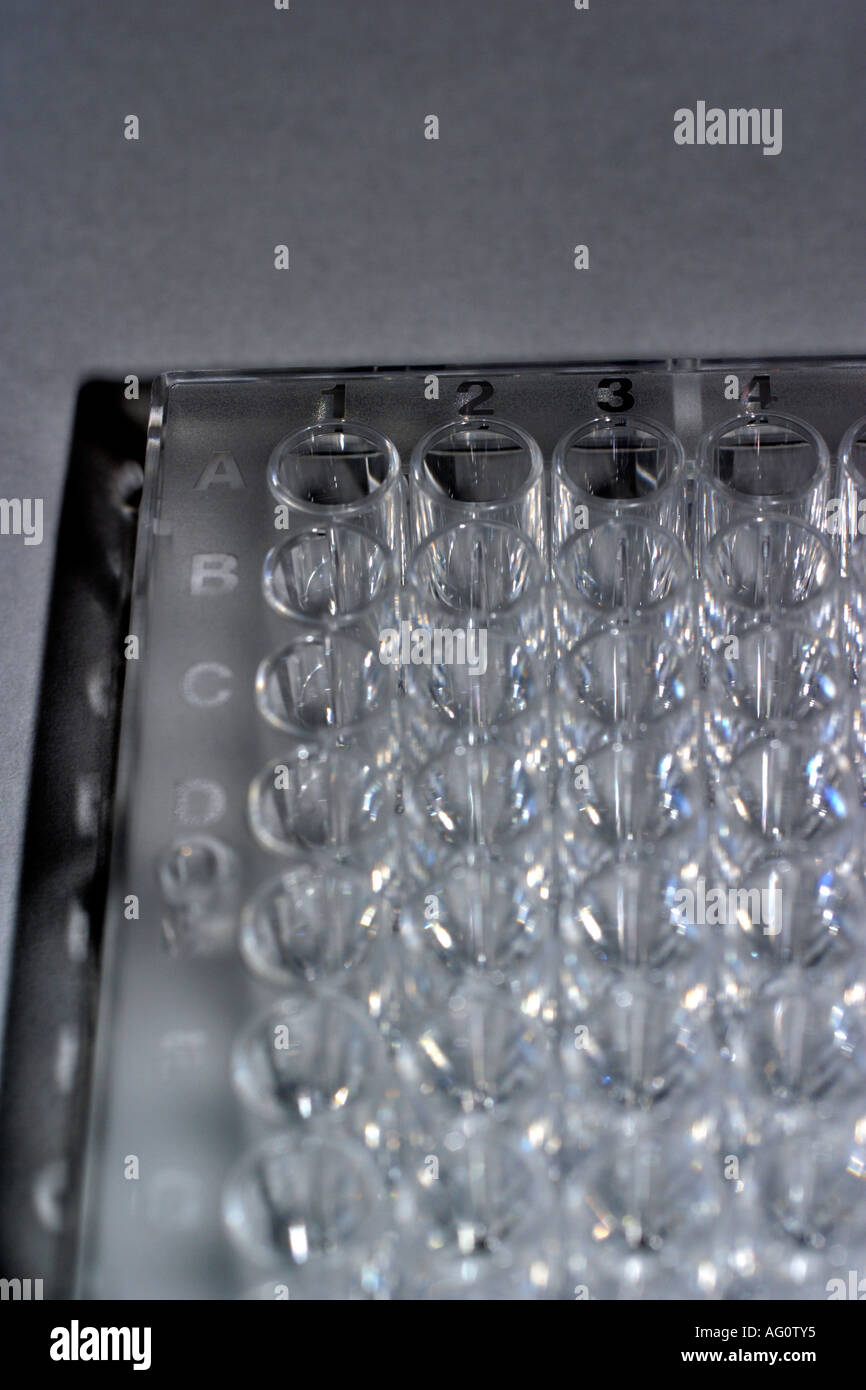 96 well plate analysis science hi-res stock photography and images - Alamy