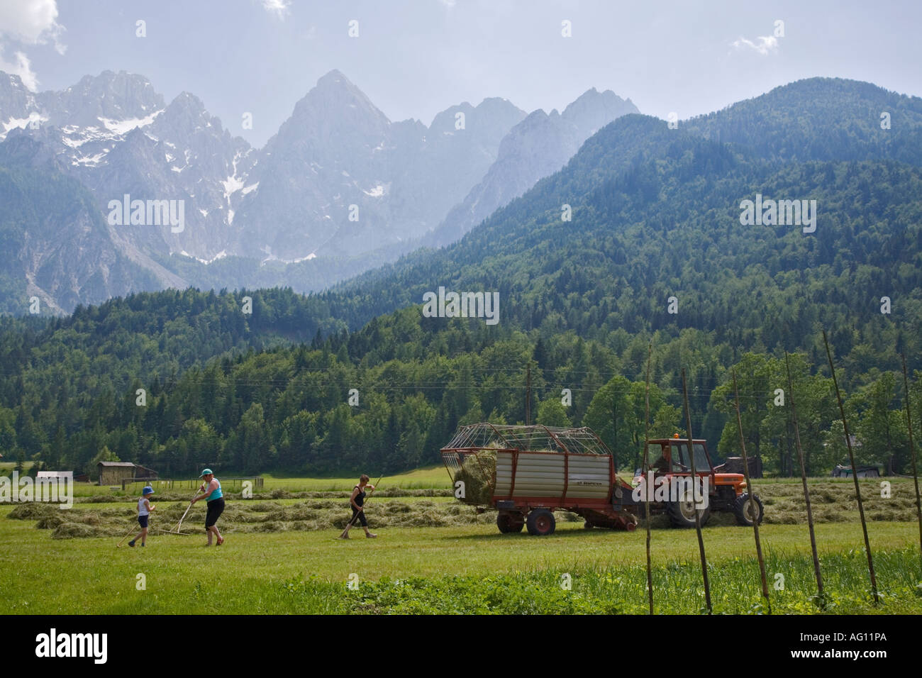 Family hay making in Alpine valley meadow with mountain range in ...