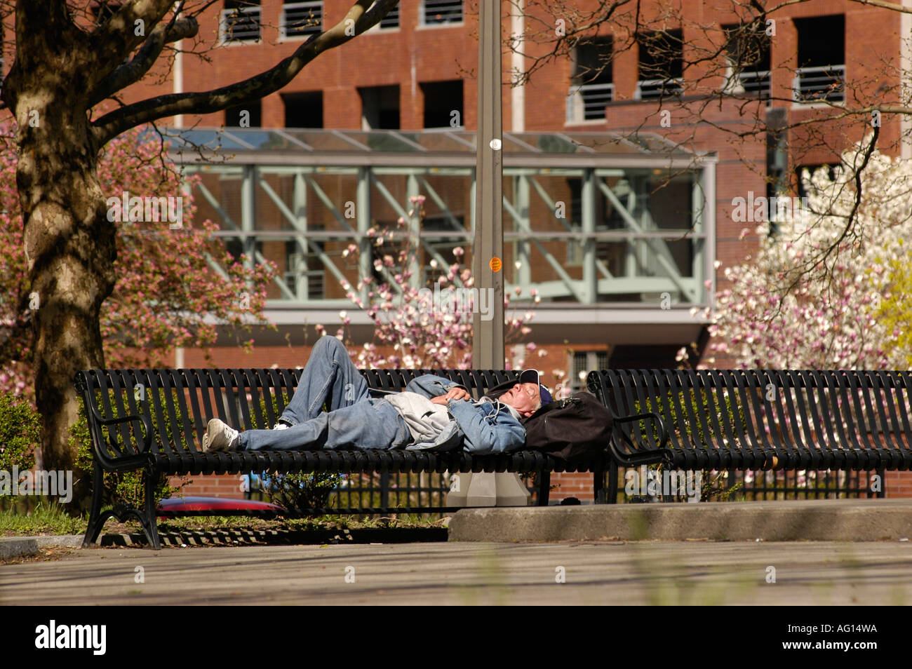 Homeless man on park bench Stock Photo - Alamy