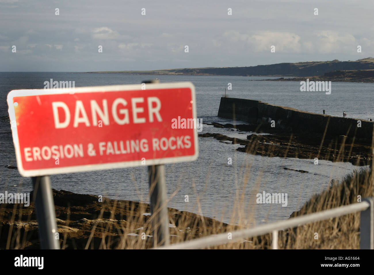 St andrews cliffs hi-res stock photography and images - Alamy