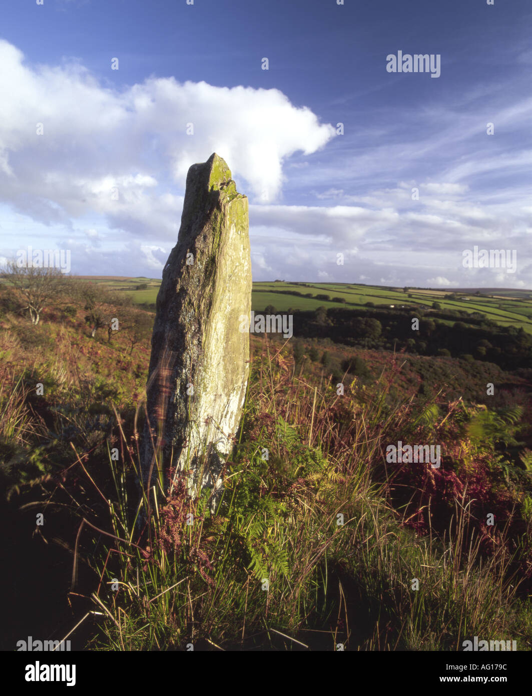 Standing Stone West Anstey Common Exmoor UK Stock Photo - Alamy