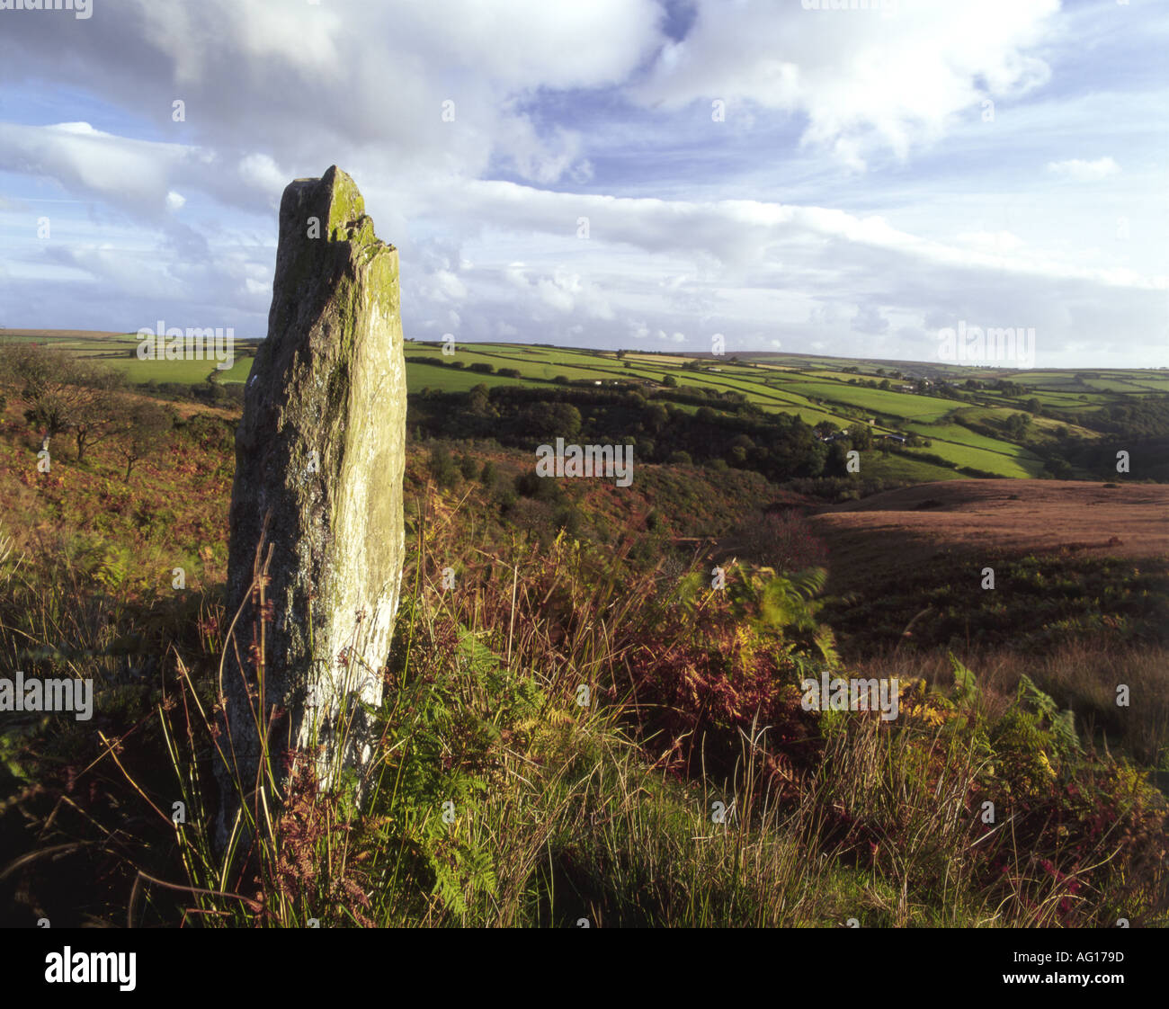 Standing Stone West Anstey Common Exmoor UK Stock Photo - Alamy
