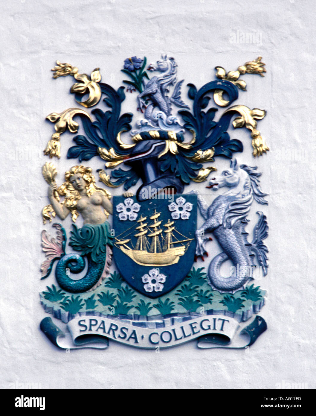 The coat of arms on Hamilton City Hall Bermuda Stock Photo - Alamy