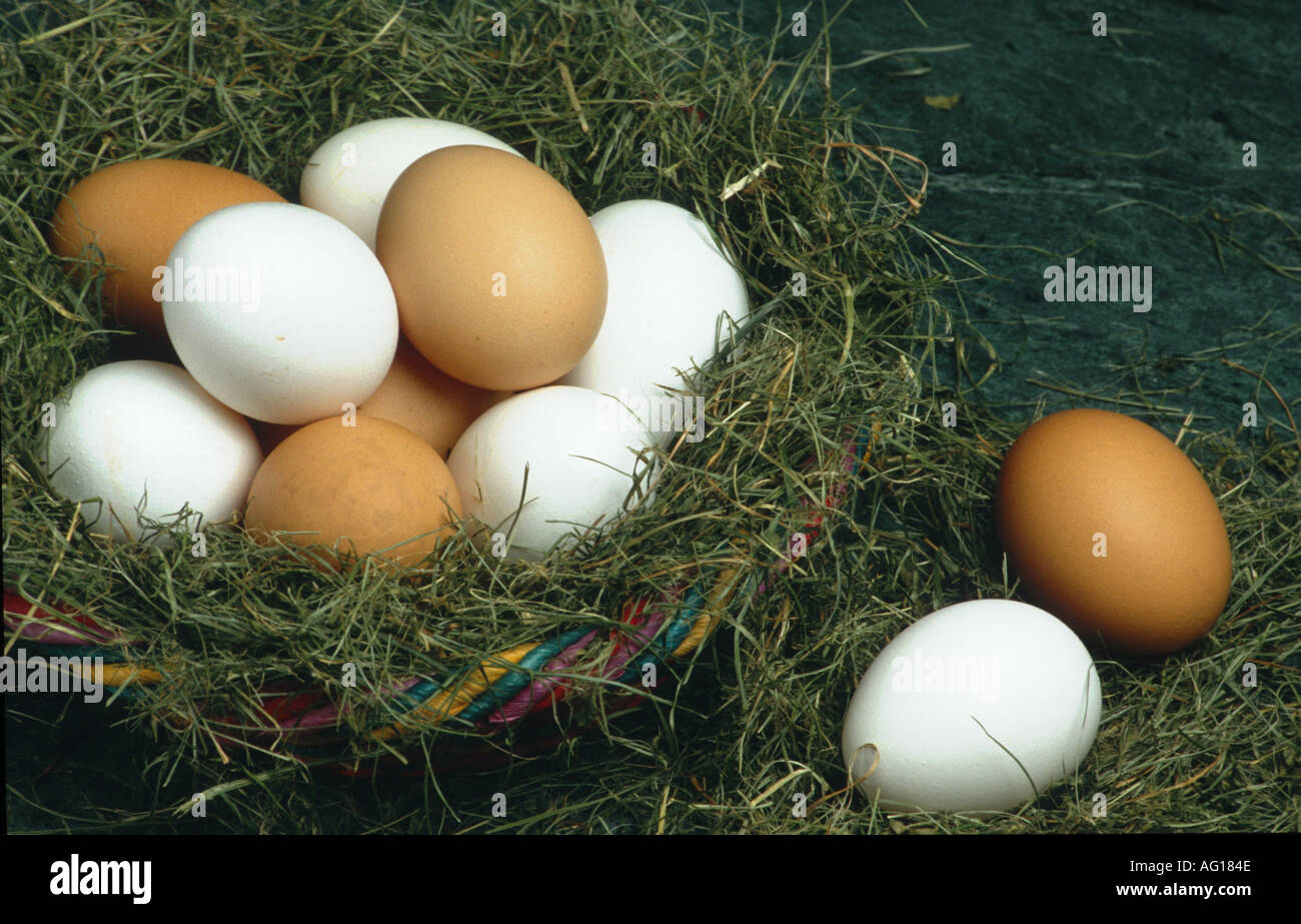 egg eggs food some eggs in a net fresh hen s eggs brown and white Stock ...