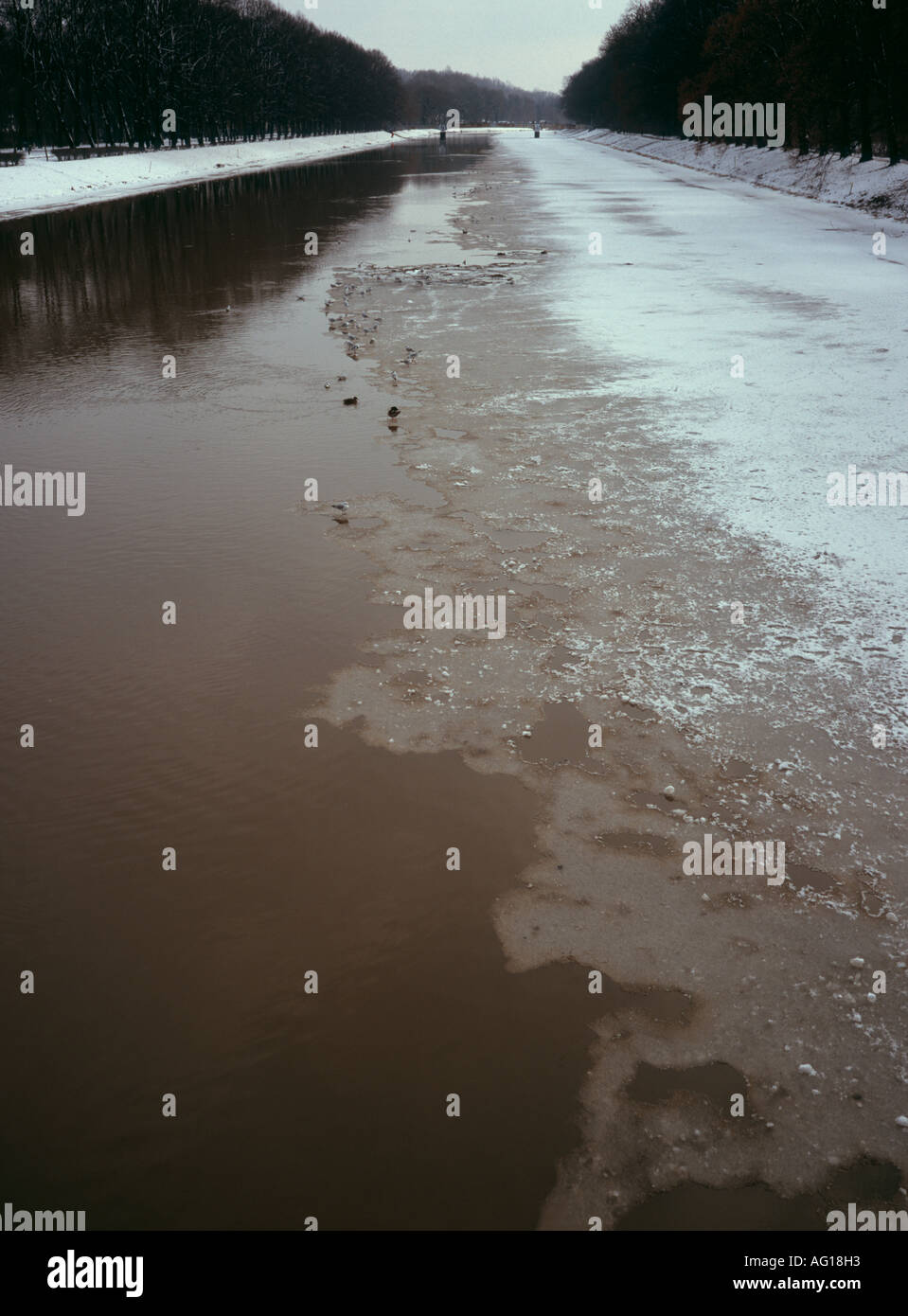 White elster hi-res stock photography and images - Alamy