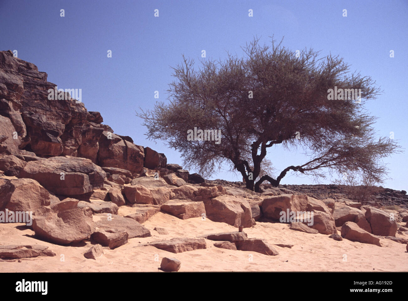 Libya Libyien scenic at the Wado Mathandous desert Sahara Stock Photo ...