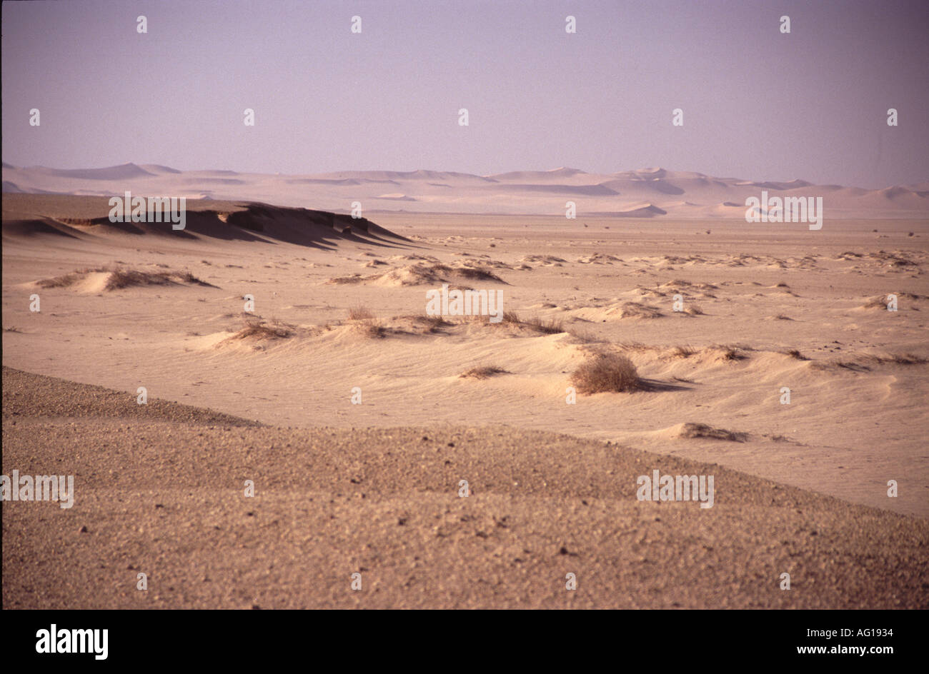 Wado hi-res stock photography and images - Alamy