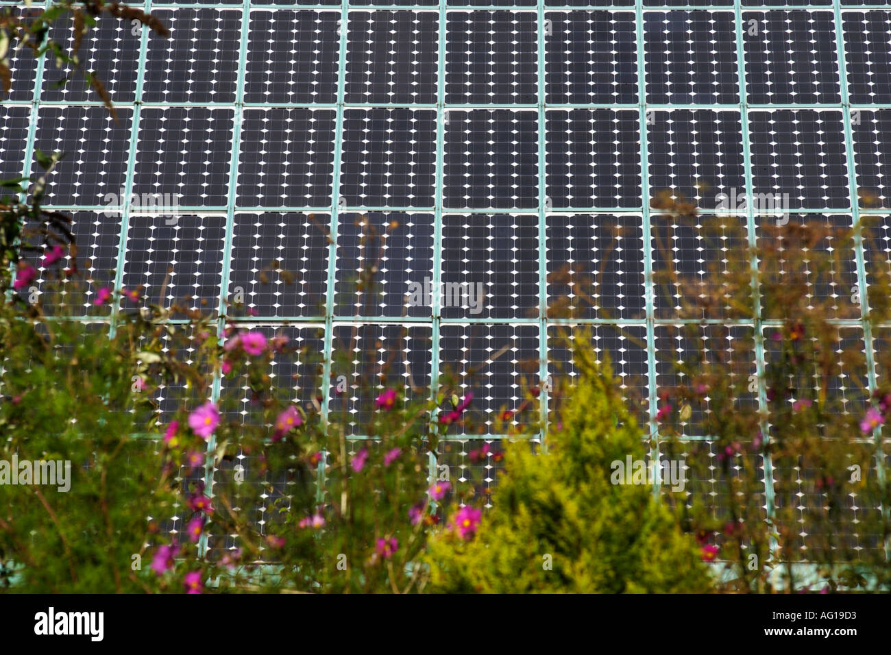 Solar panel array at the Centre for Alternative Technology Machynlleth ...