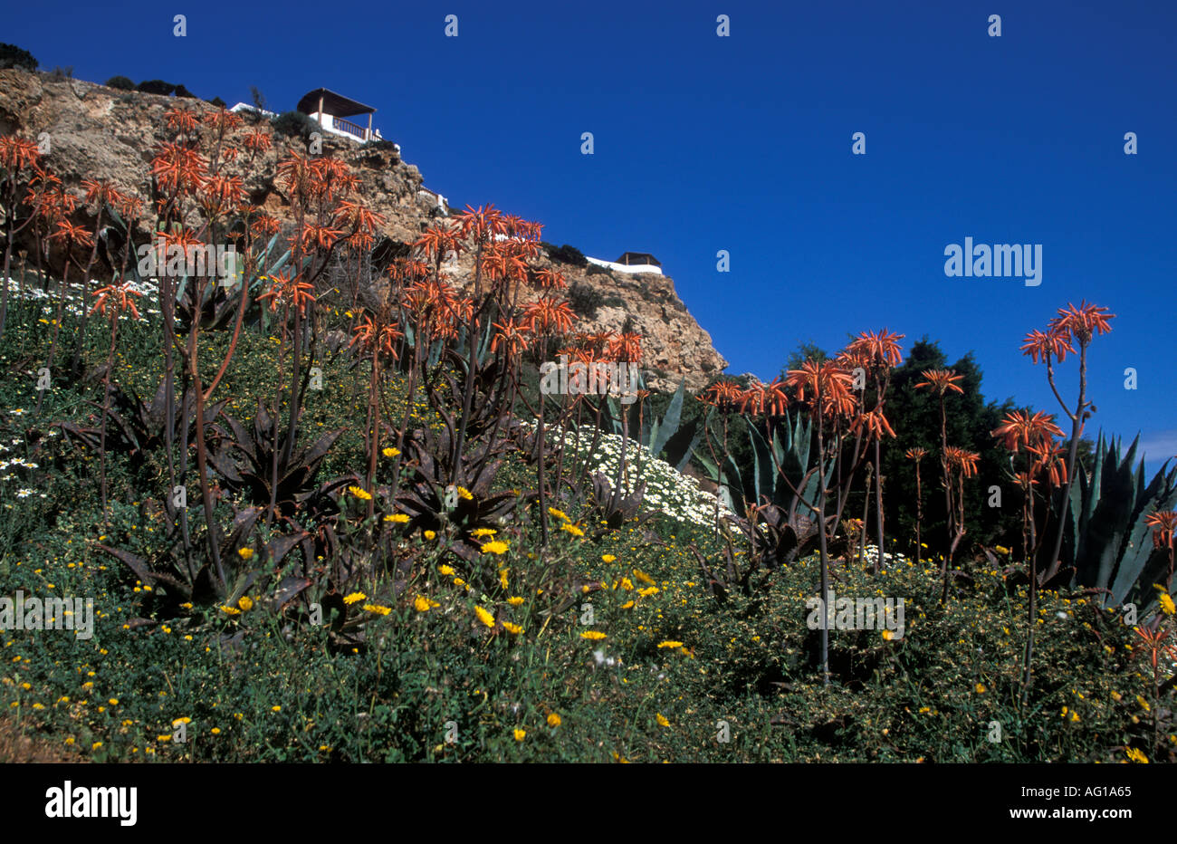 Cala Morell Menorca Stock Photo - Alamy
