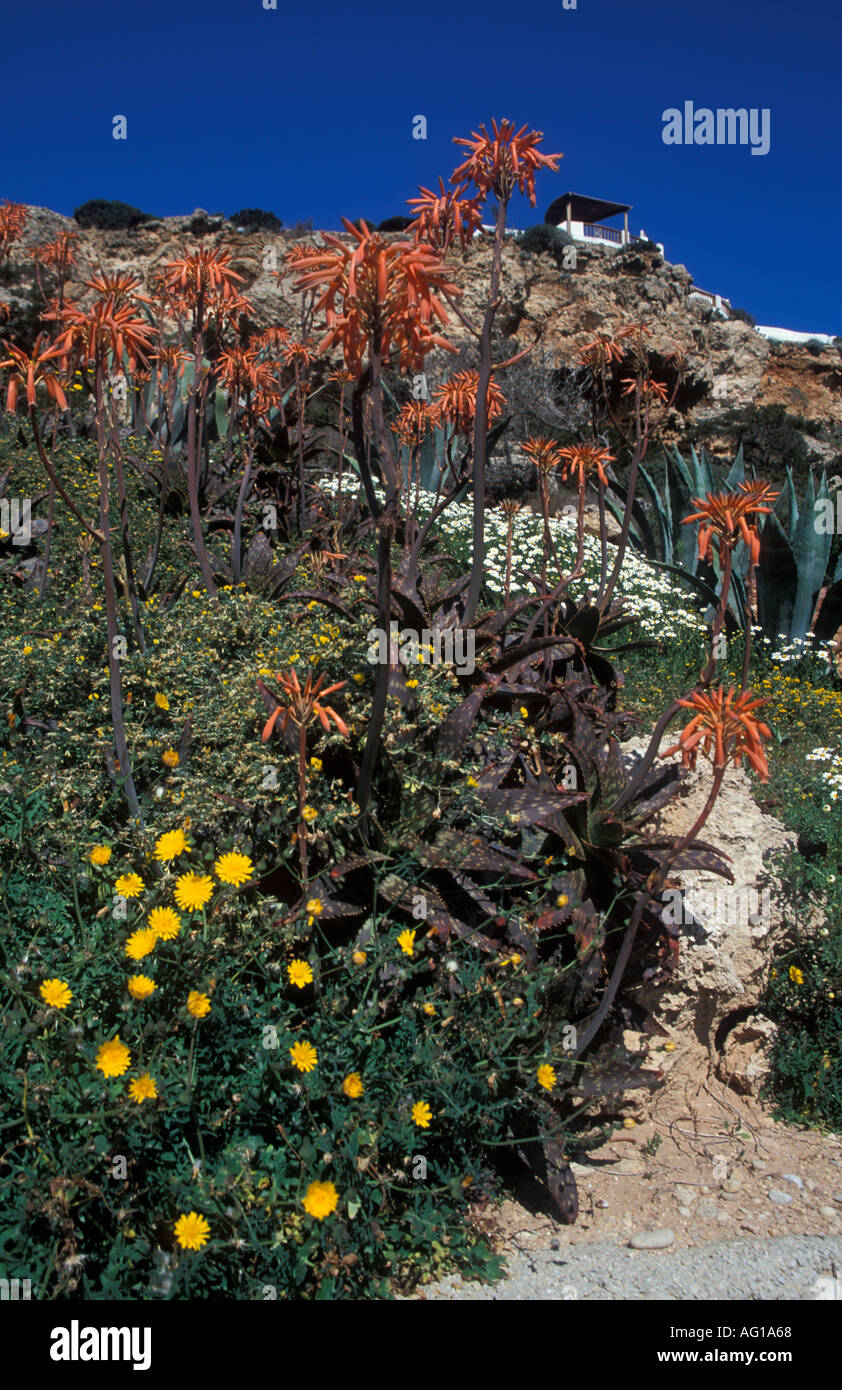 Cala Morell Menorca Stock Photo - Alamy