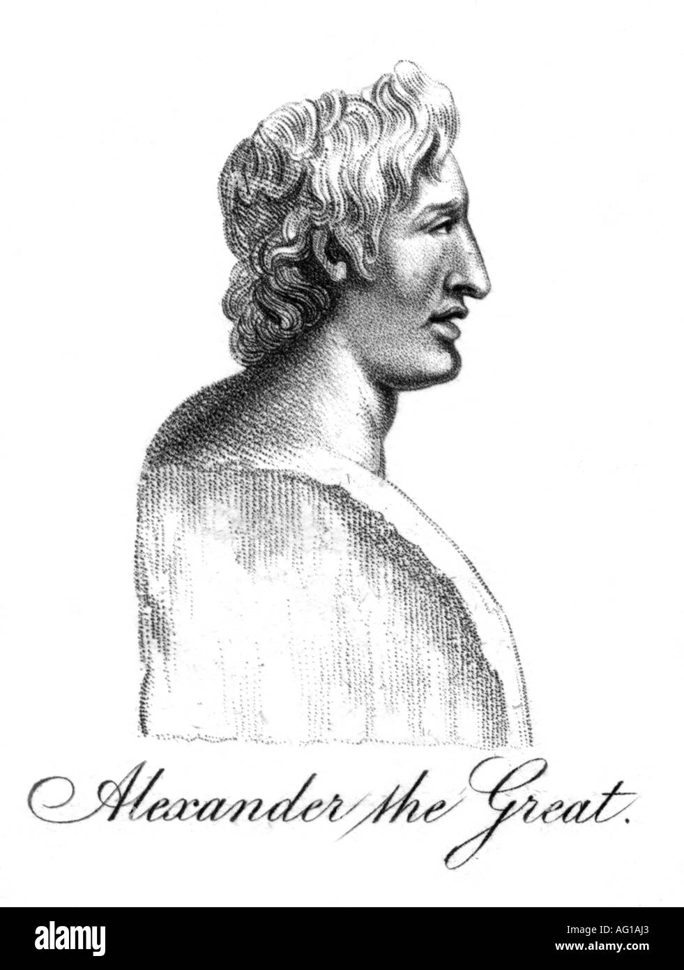 Alexander The Great Face Drawing