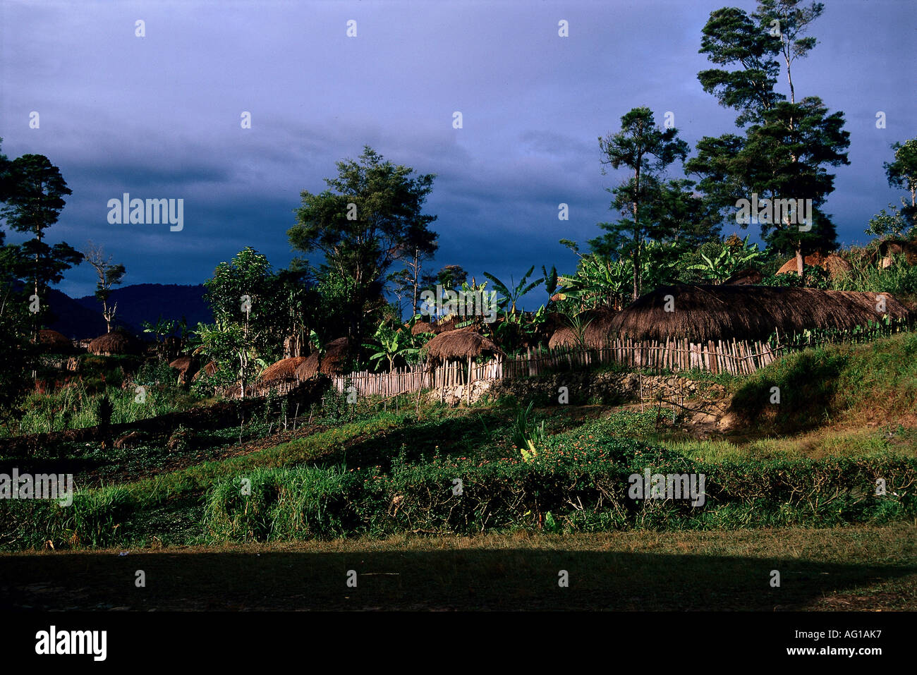 Indonesia Irian Jaya Island Valley High Resolution Stock Photography ...