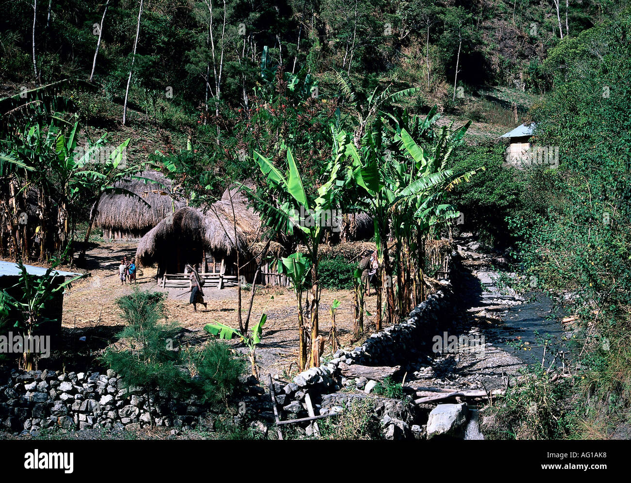 Indonesia irian jaya island valley hi-res stock photography and images ...