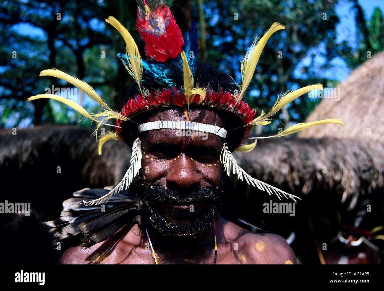 Man, irian jaya, new guinea, indonesia hi-res stock photography and ...