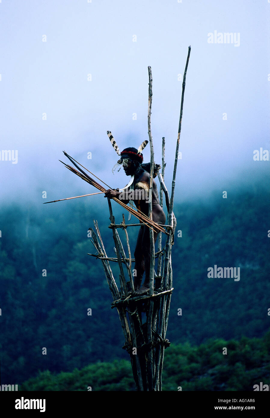 Indonesia Irian Jaya Island Valley High Resolution Stock Photography ...