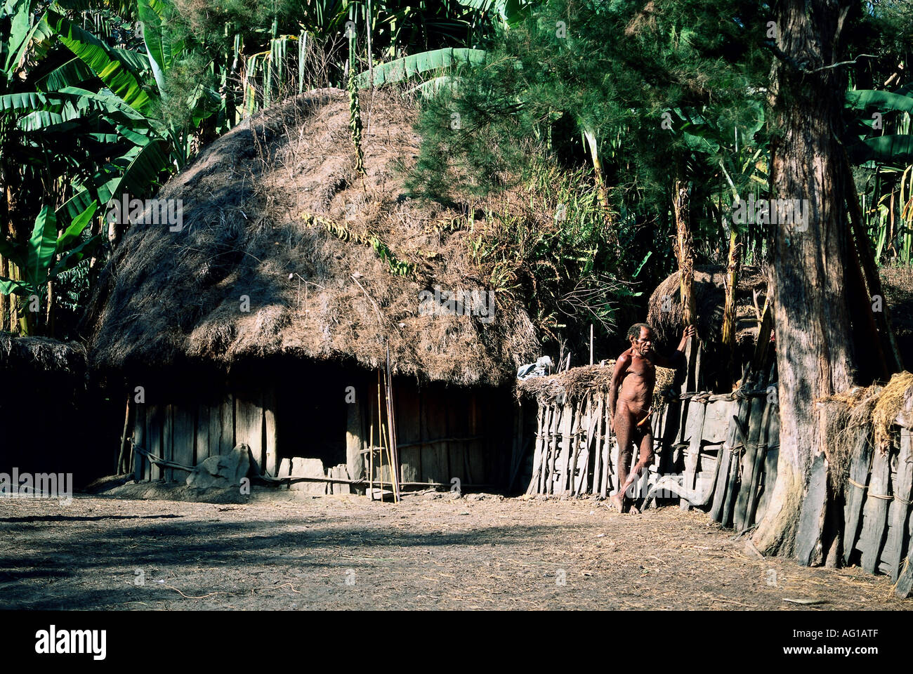 Dani tribe of irian jaya hi-res stock photography and images - Alamy