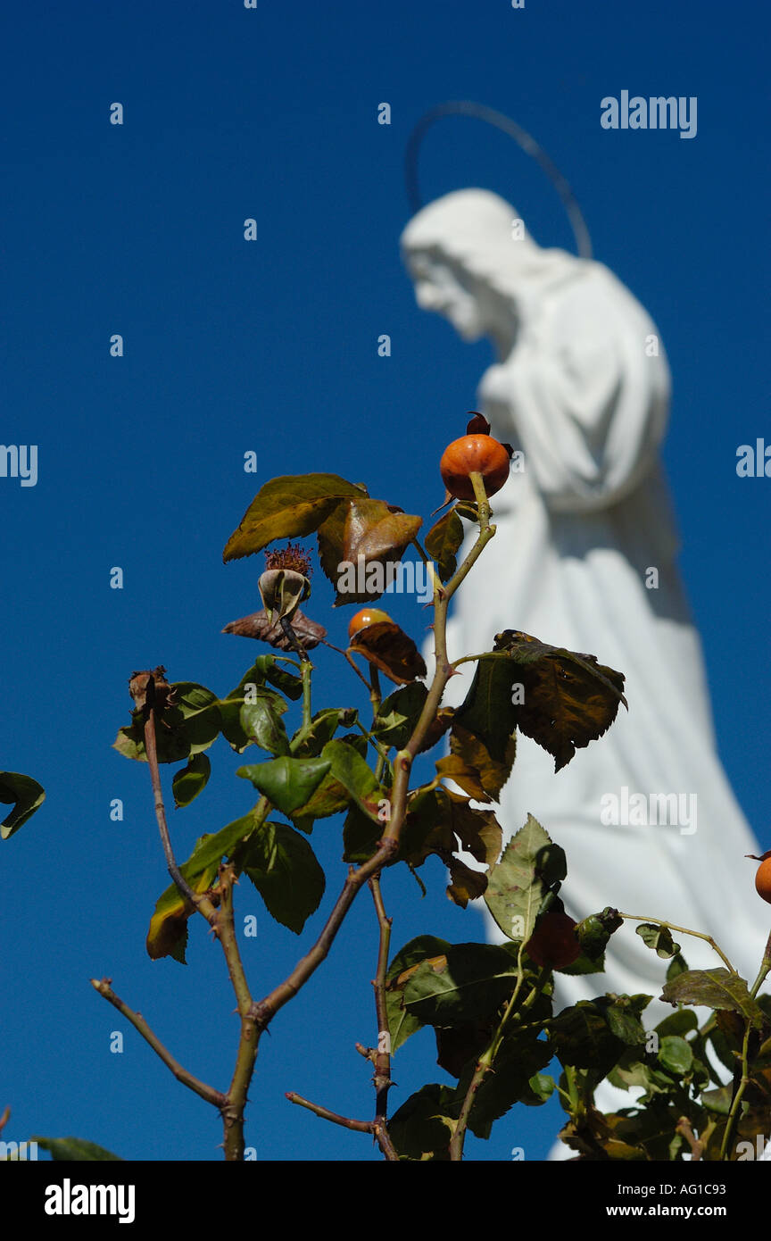 Tices hi-res stock photography and images - Alamy