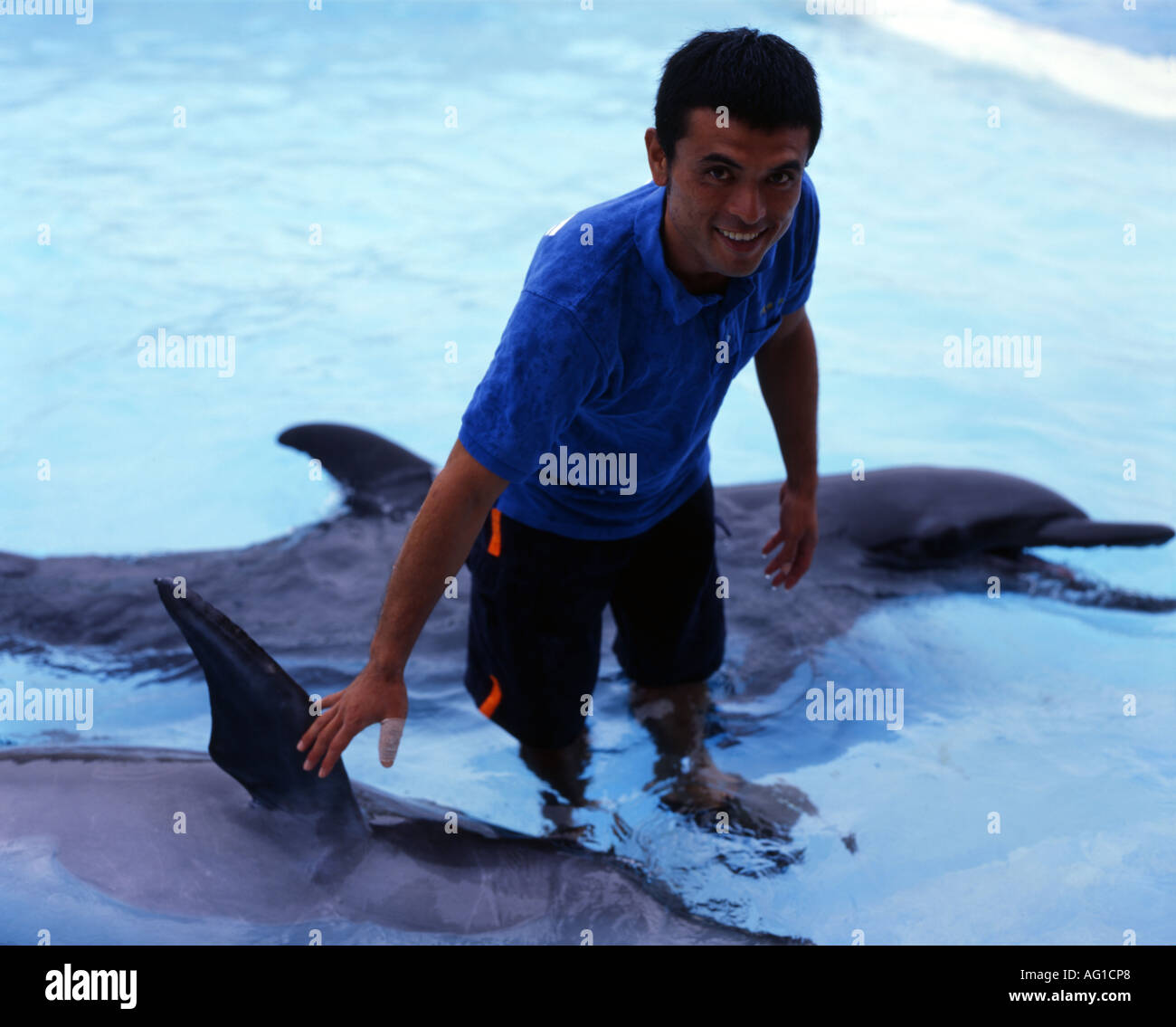 Dolphin male trainer hi-res stock photography and images - Alamy