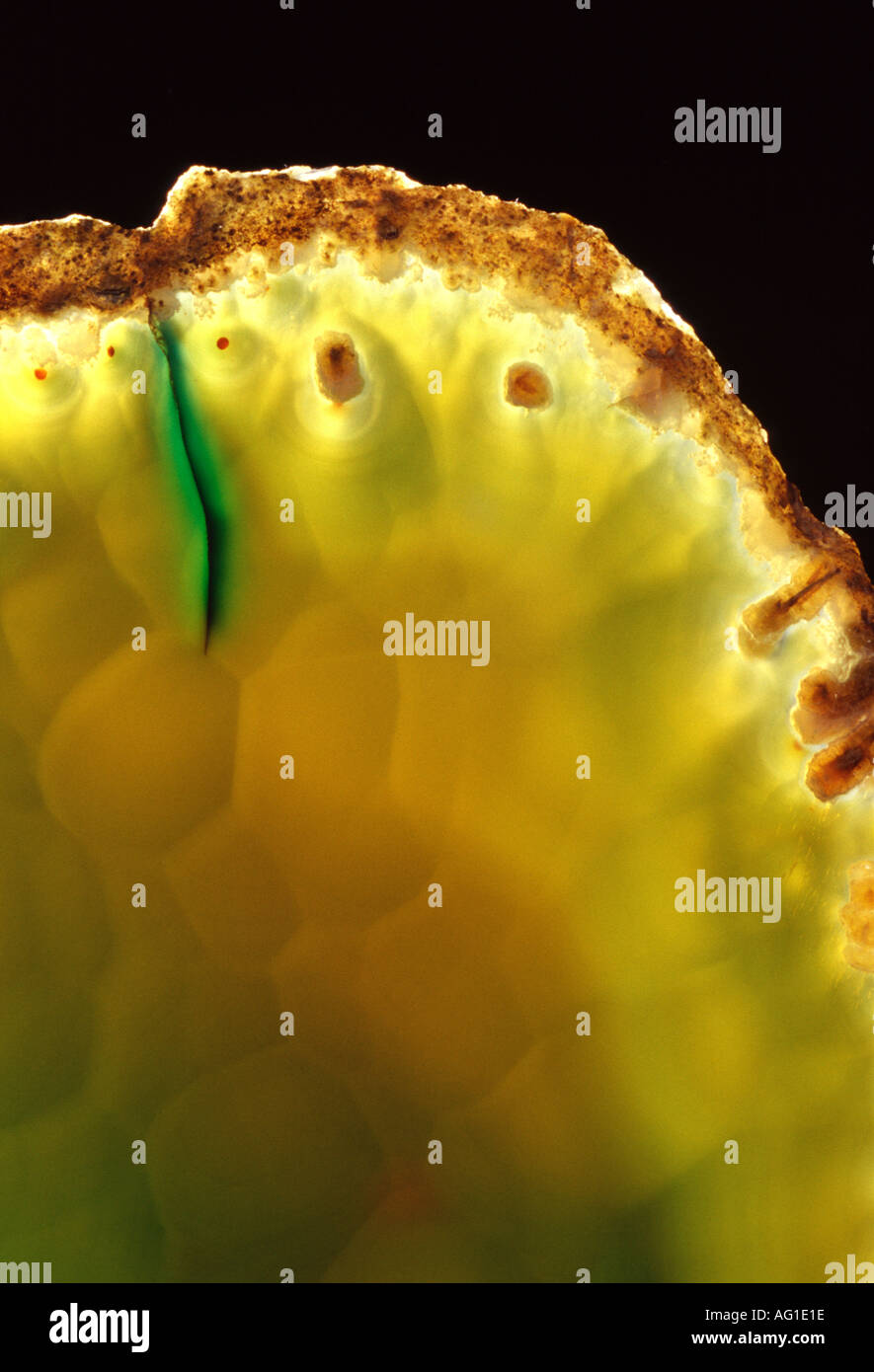 Chalcedon hi-res stock photography and images - Alamy