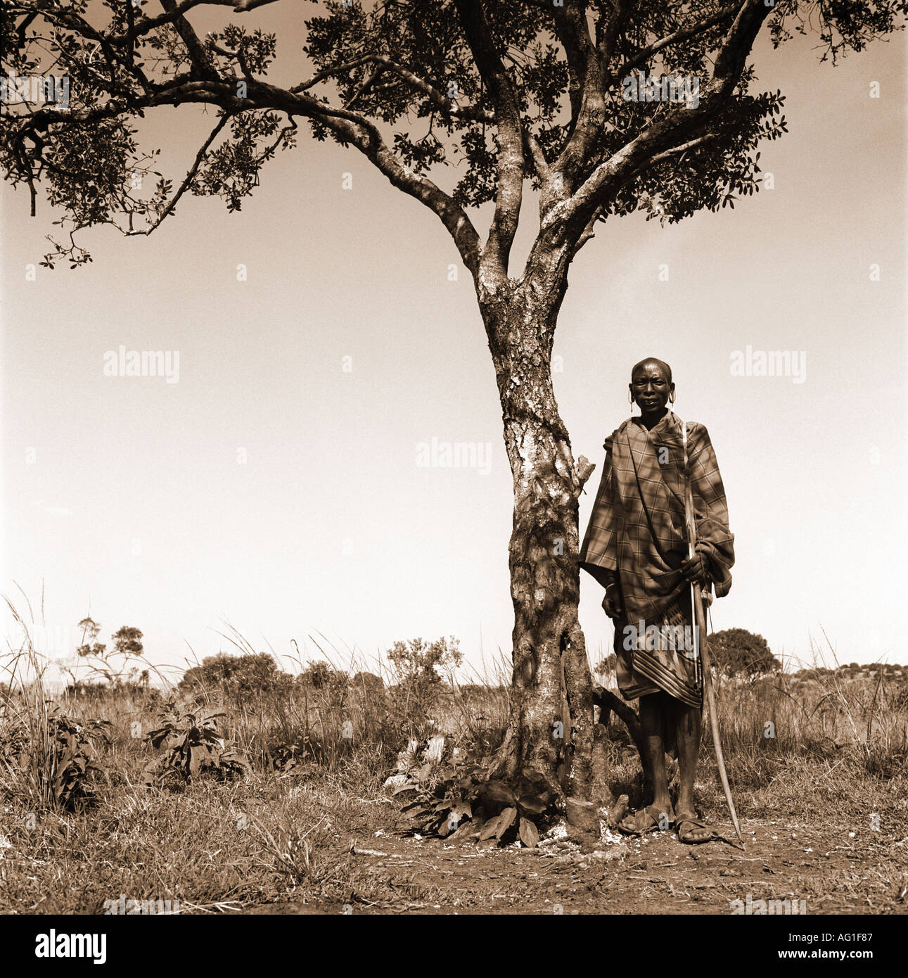 travel kenya africa adventure massaï masai arrow bow warrior tree ...