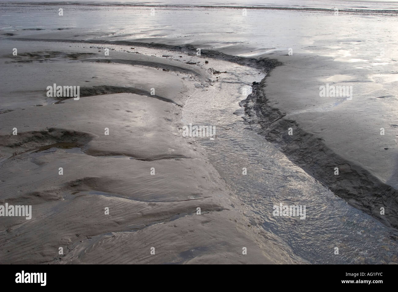 wadden sea / Mud-flats, north sea coast, germany Stock Photo - Alamy