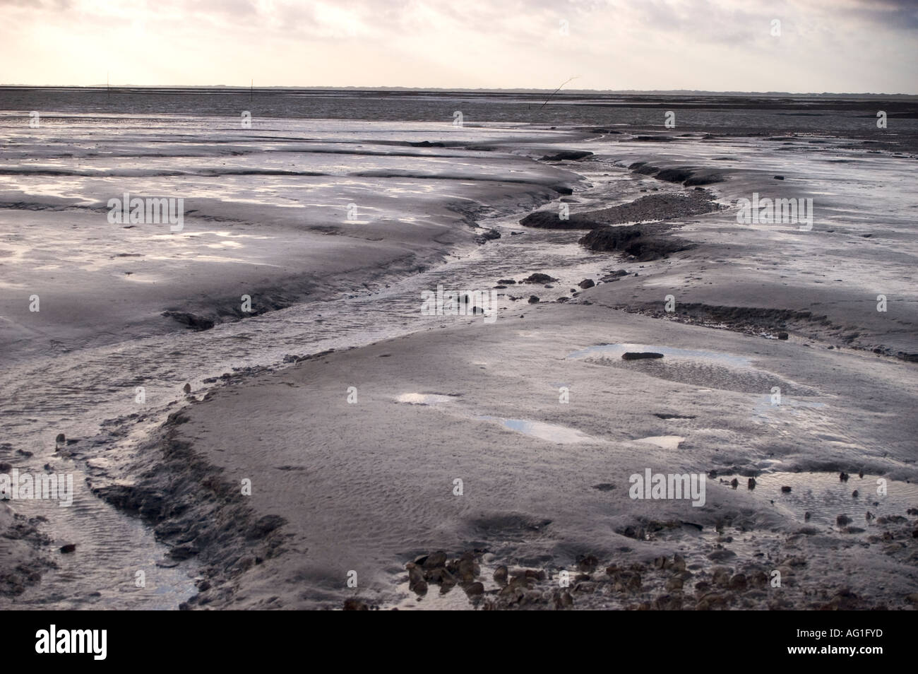 wadden sea / Mud-flats, north sea coast, germany Stock Photo - Alamy