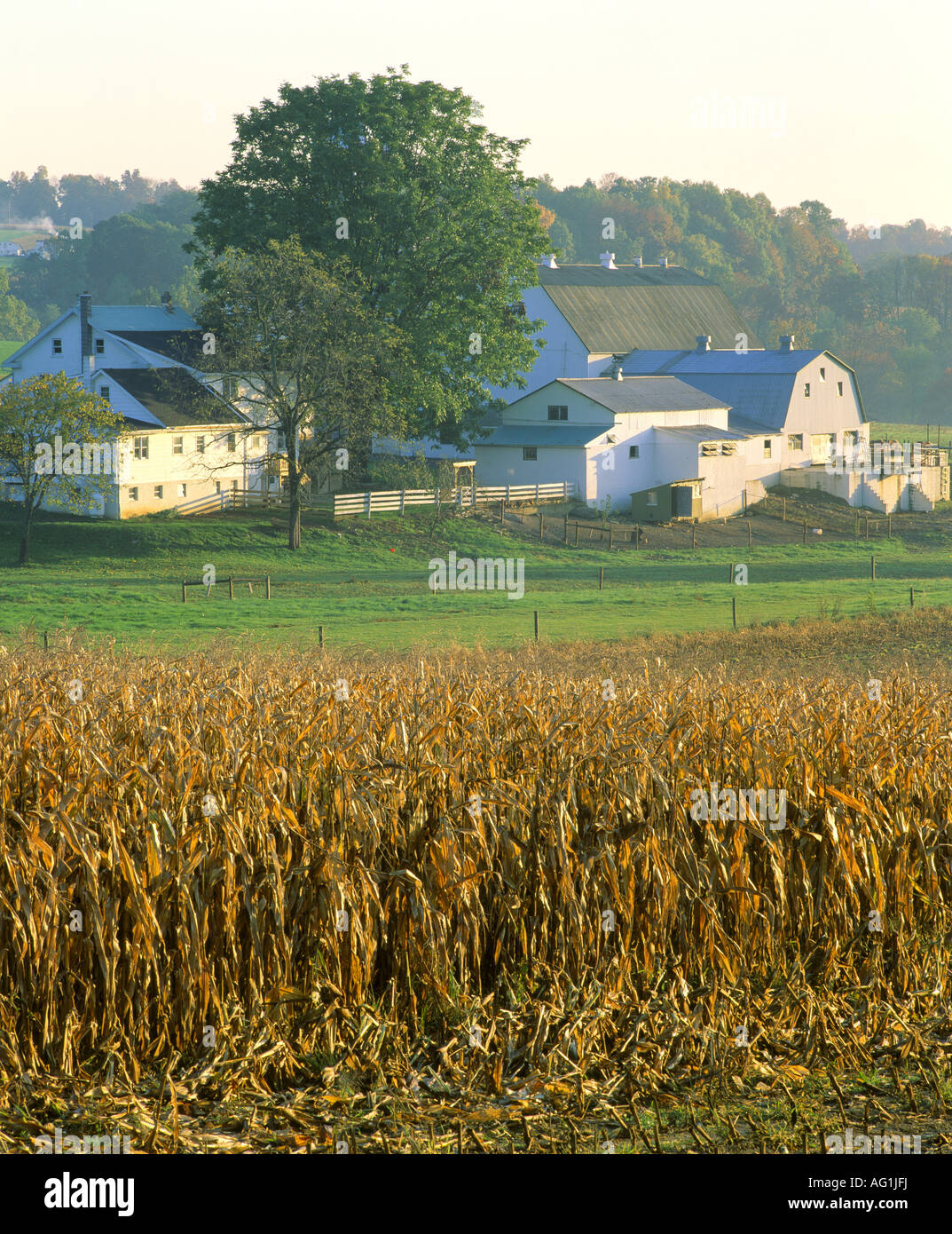Amish farmstead hi-res stock photography and images - Alamy