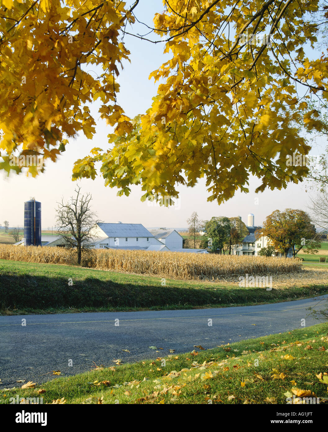 Fall foliage in pennsylvania hi-res stock photography and images - Alamy