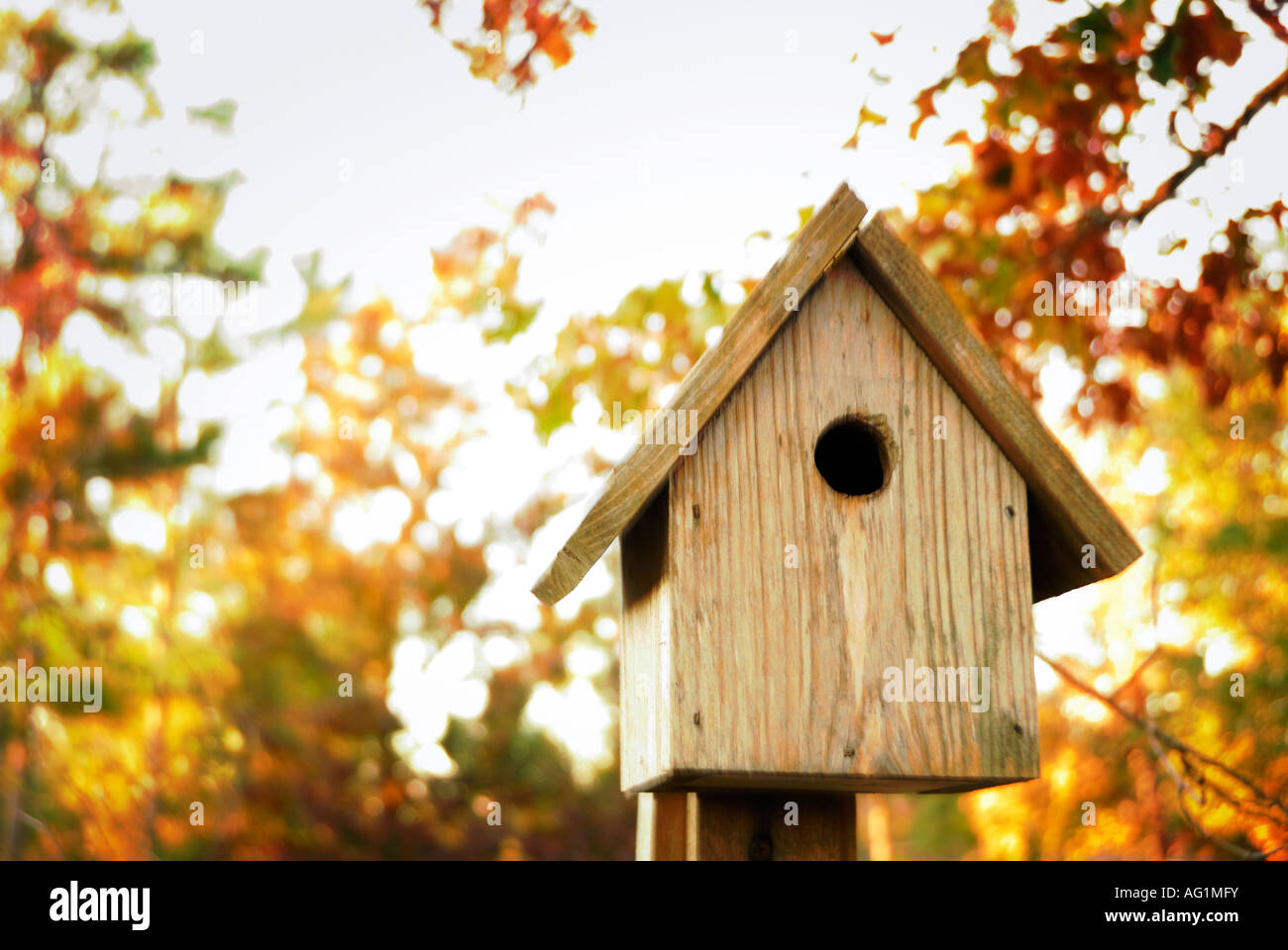 autumn birdhouse 2 Stock Photo - Alamy