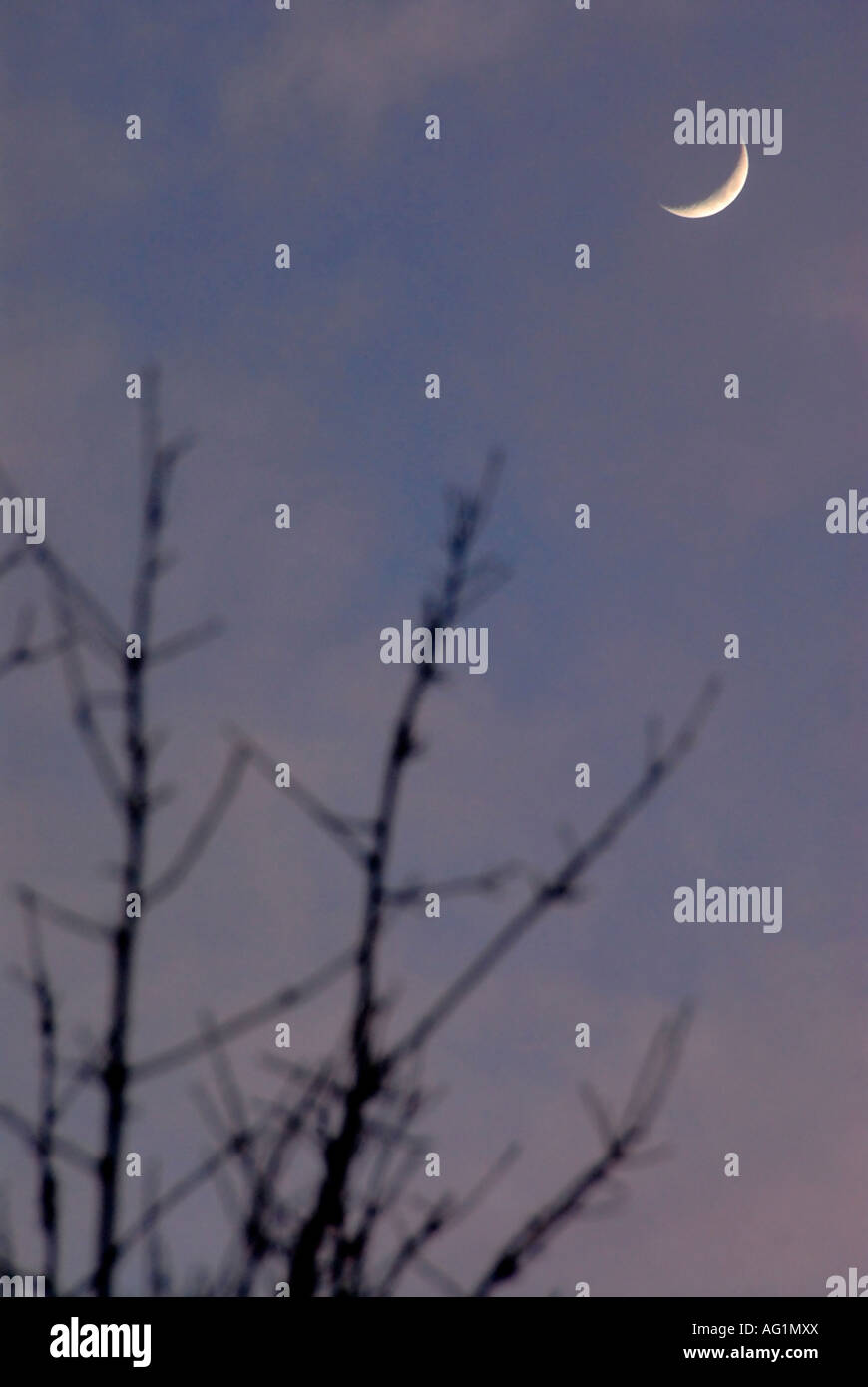 Crescent moon and sky at dusk 2 Stock Photo - Alamy