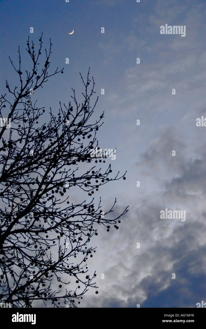 Crescent moon 1 hi-res stock photography and images - Alamy