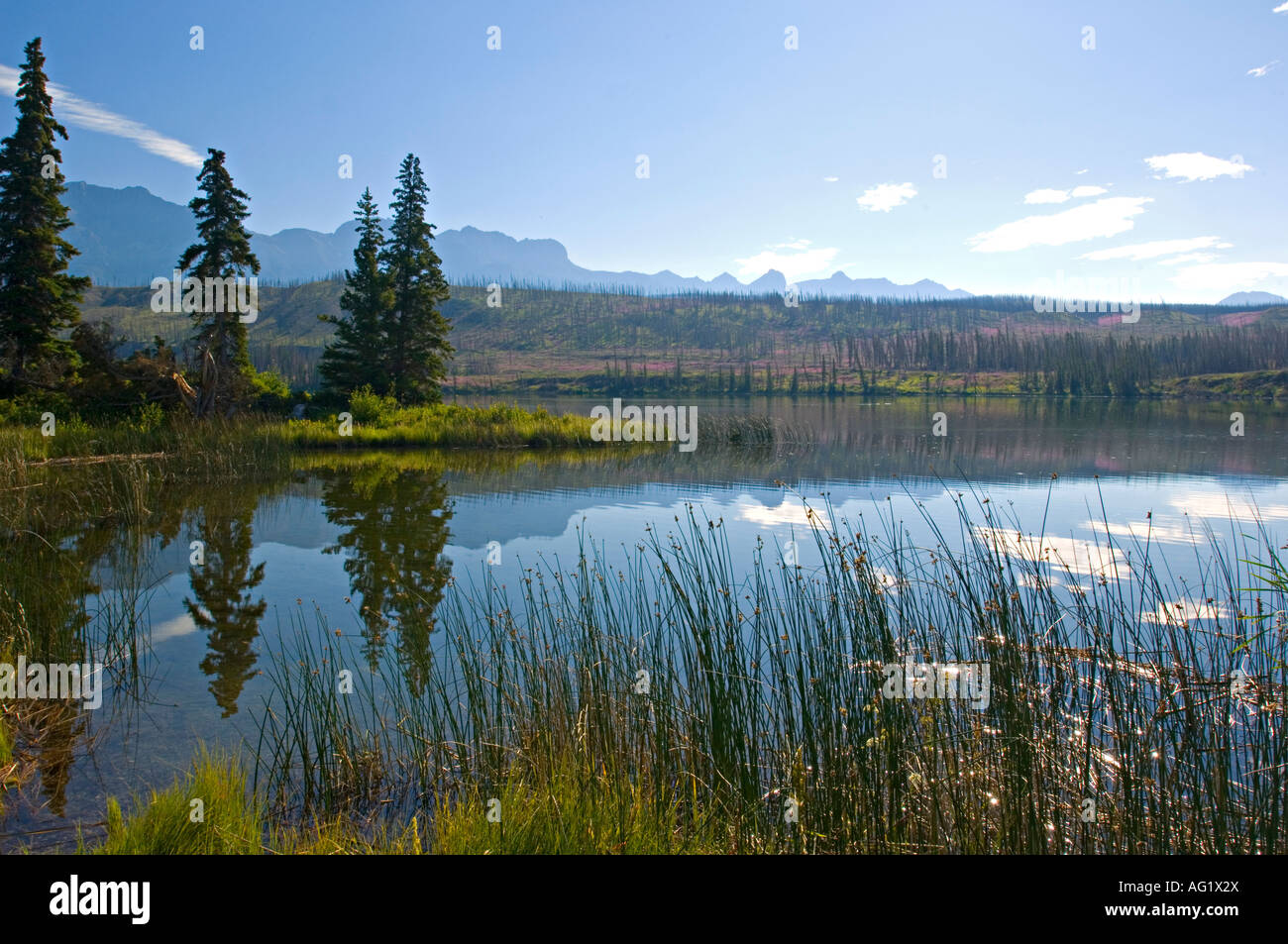 A summer scenic of Talbot Lake and the Sincline Ridge in "Jasper ...