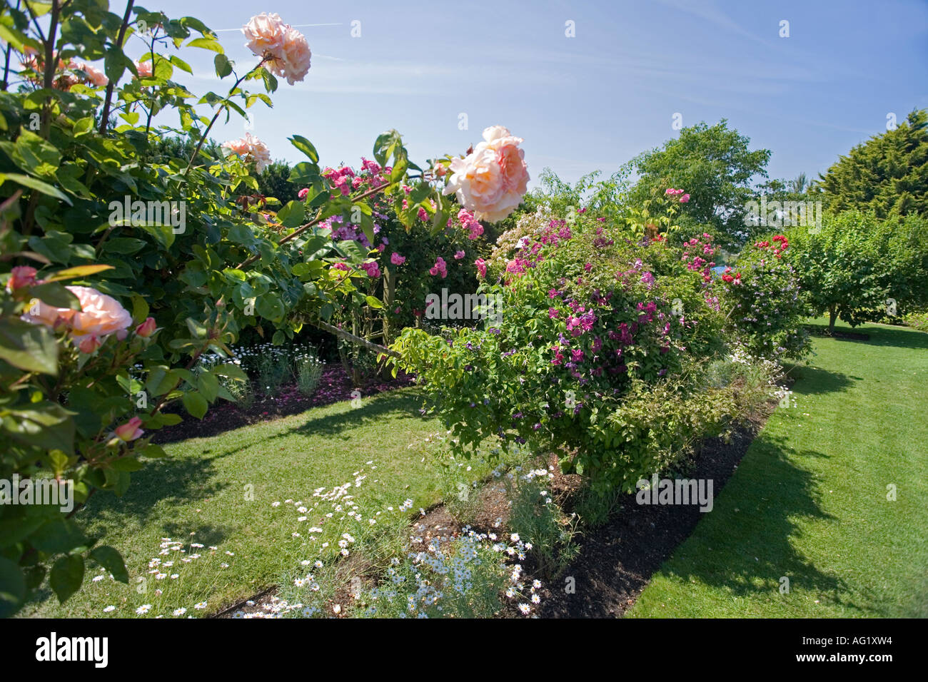 Colour england britain visit travel essex royal horticultural society ...