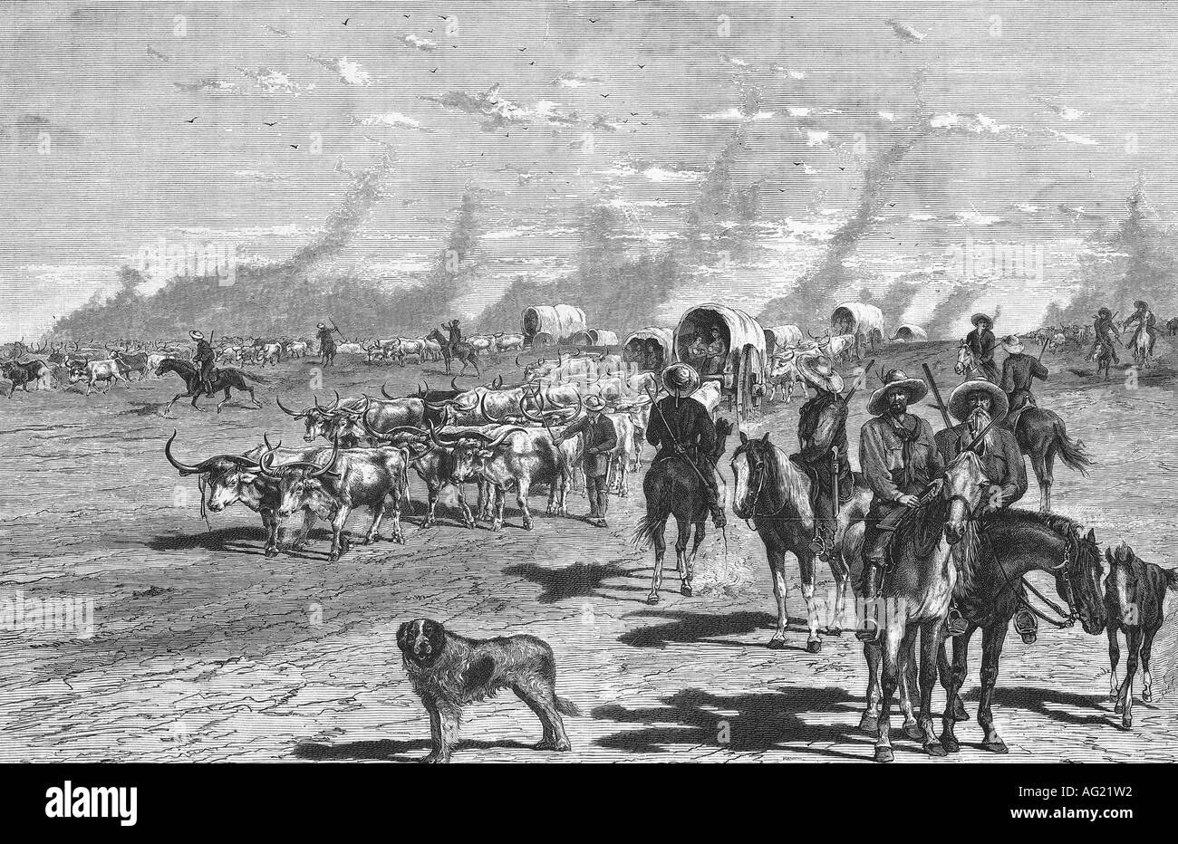 Boers south africa hi-res stock photography and images - Alamy