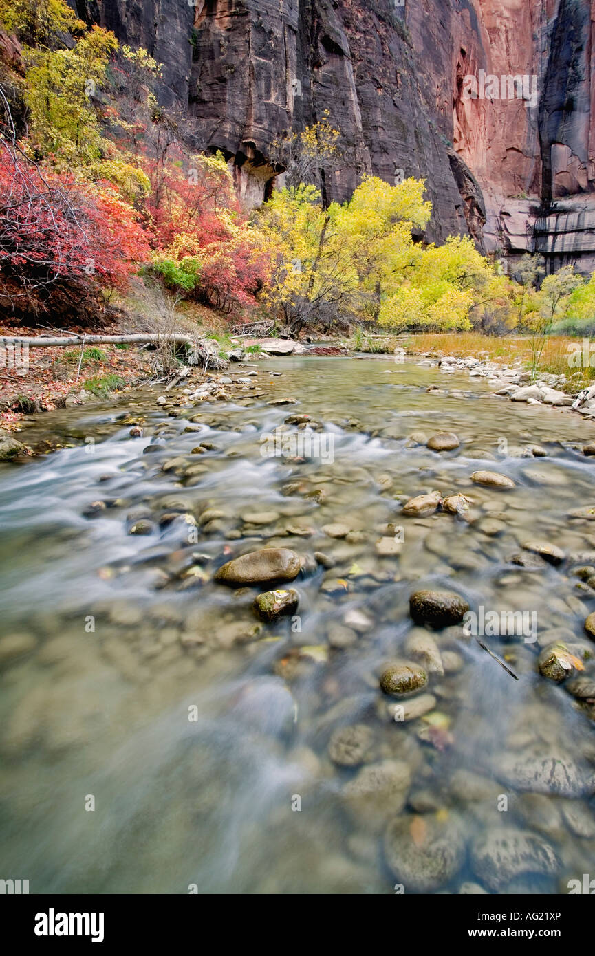 Autumn stream Zion national park Stock Photo - Alamy