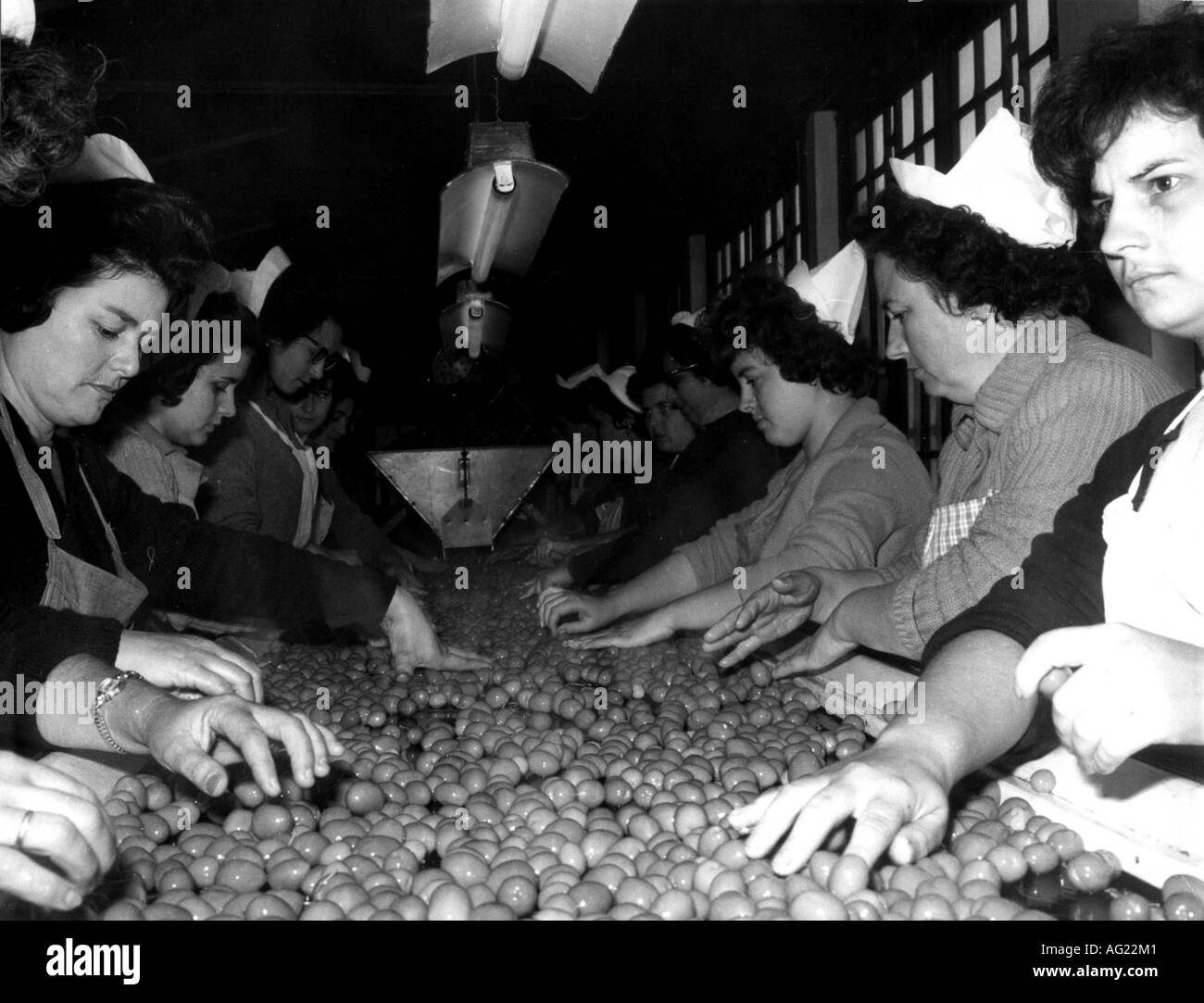 industry, food, olives, sorting the olives, Spain, 1960s, 60s, factory ...