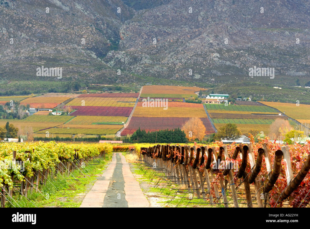 Hex River Valley in Autumn Stock Photo - Alamy