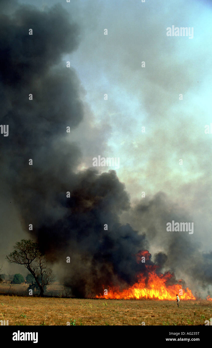 Bush fire in the savannas of Northern Cameroon Stock Photo - Alamy