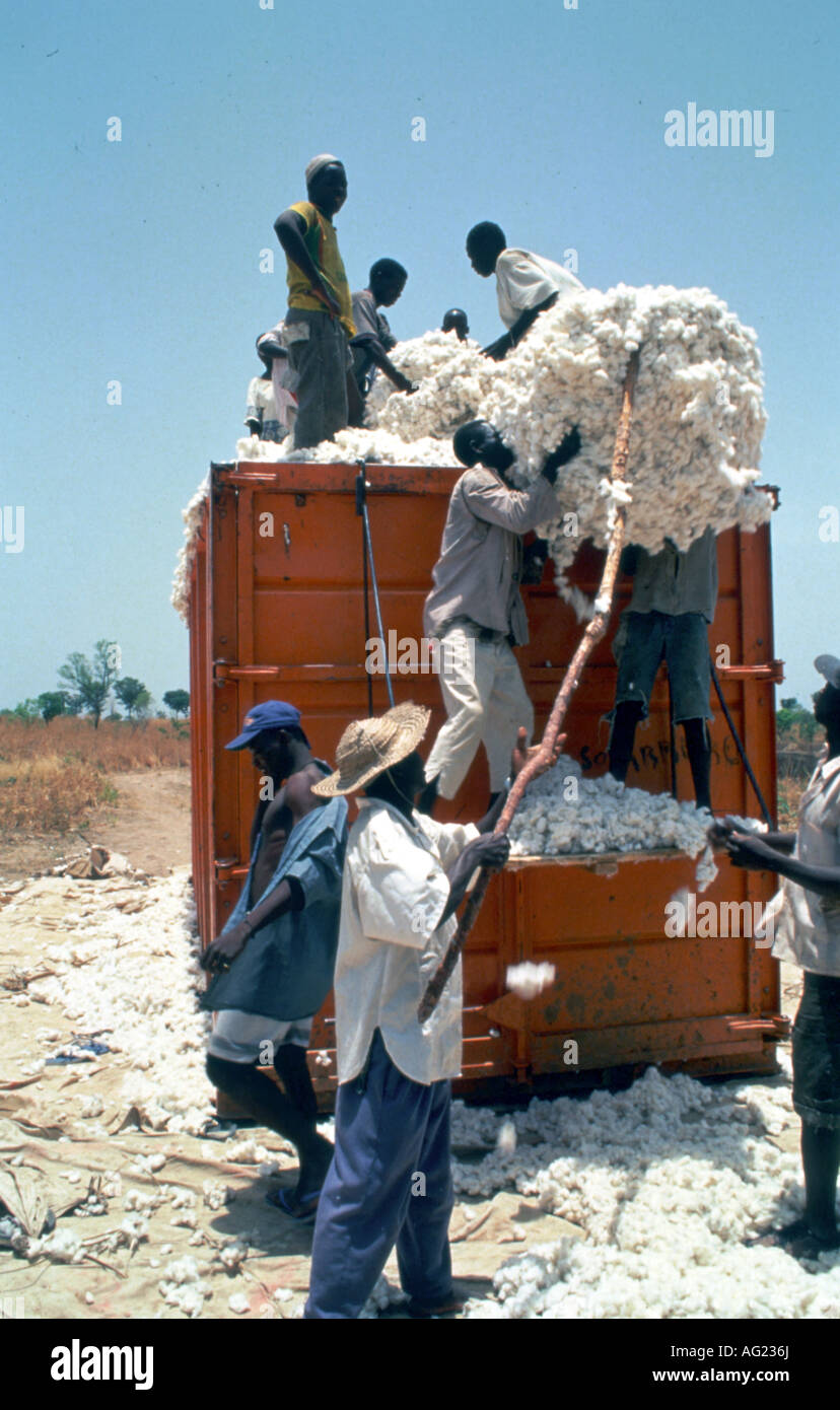 Cotton shipment hi-res stock photography and images - Alamy