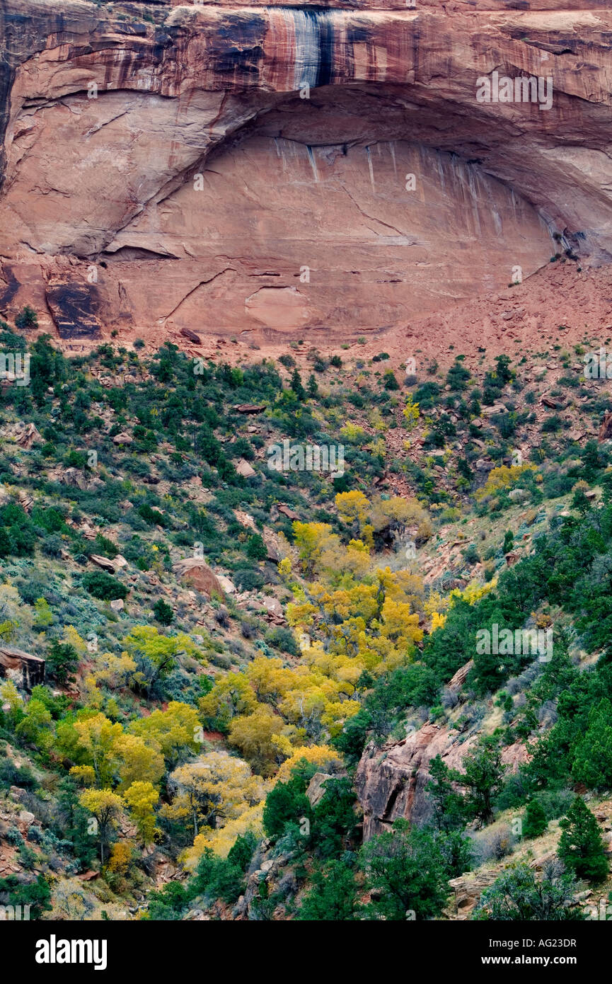 Autumn stream Zion national park Stock Photo - Alamy