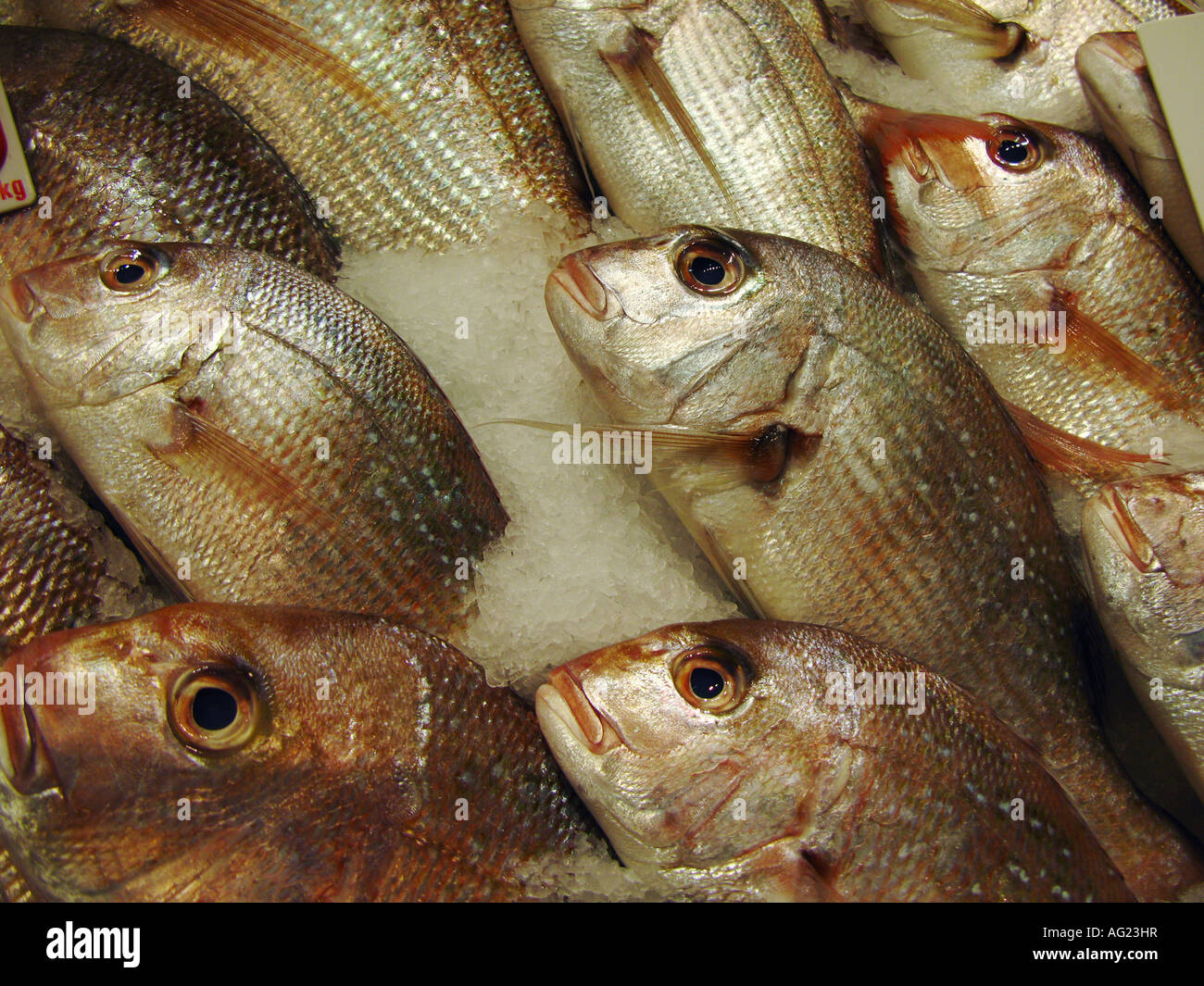 A display of fish at the fish market ready to go Stock Photo - Alamy