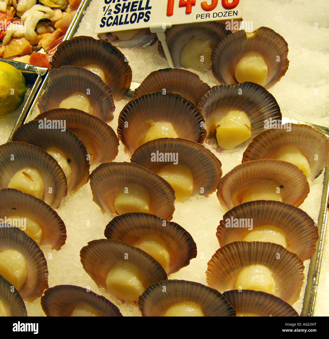 scallops in the half shell on display at the fish market Stock Photo ...