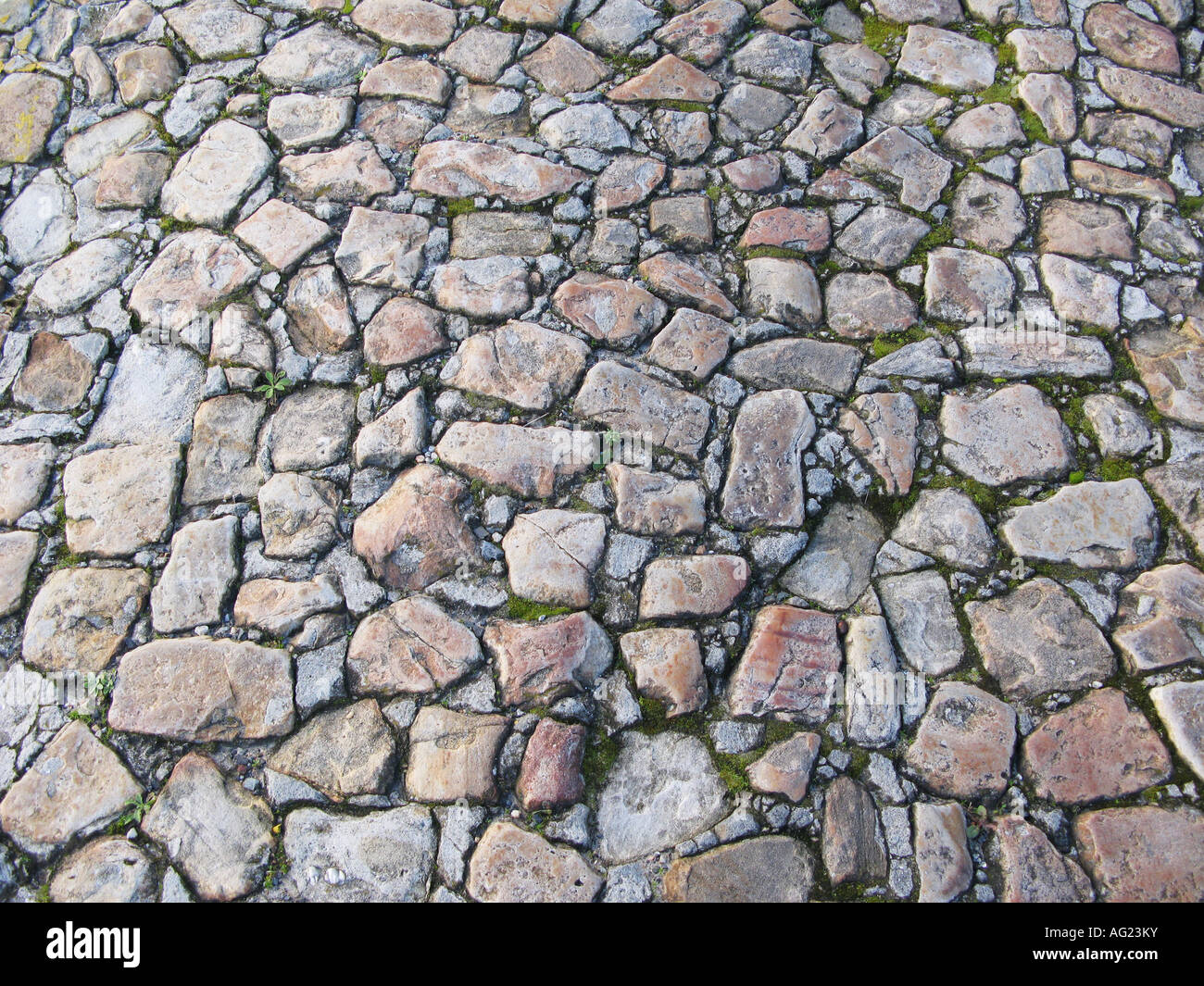 a close up shot of Cobble stones imbedded with moss Stock Photo - Alamy
