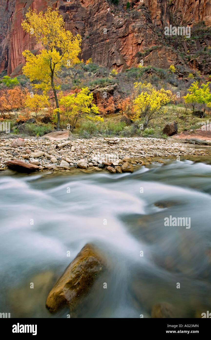 Autumn stream Zion national park Stock Photo - Alamy