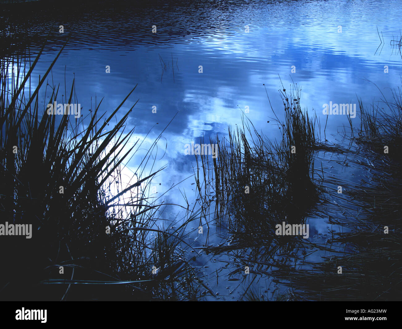 A gloomy storm reflected in the calm still water of a stream Stock ...