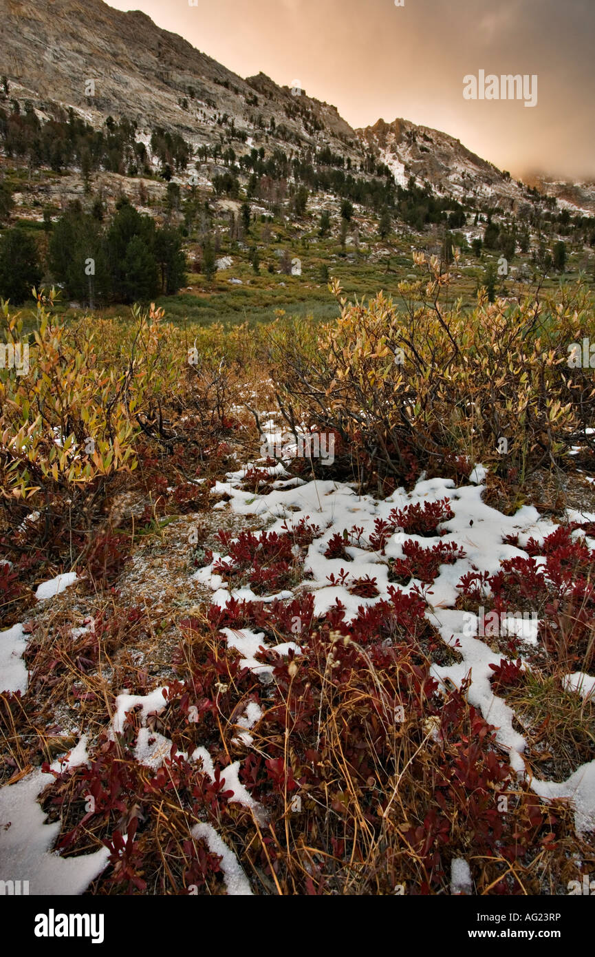 Ruby mountains Nevada Stock Photo - Alamy