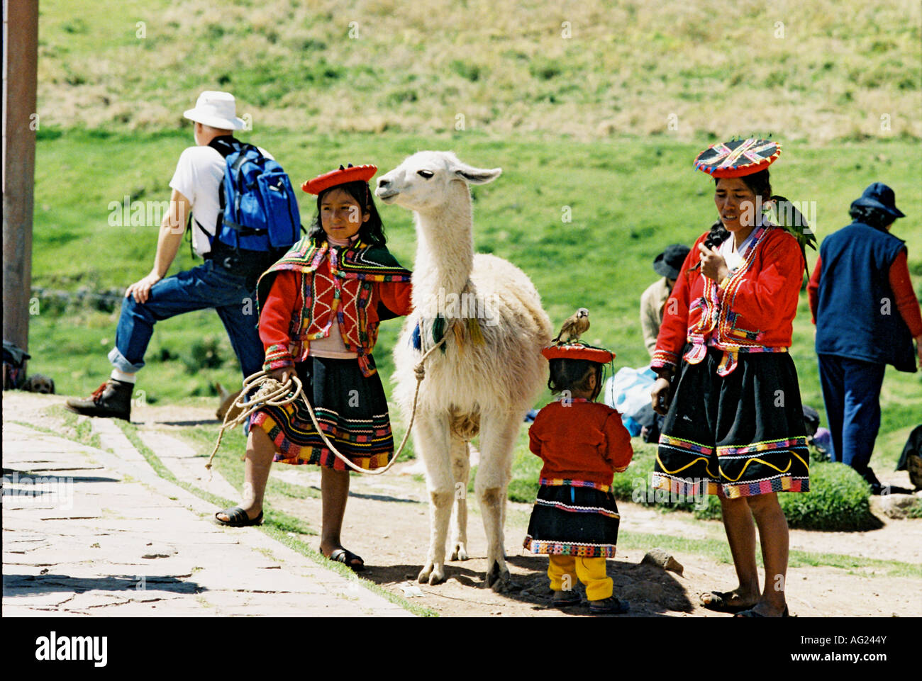 andean indians in traditional dress with llamas and tourists Stock ...