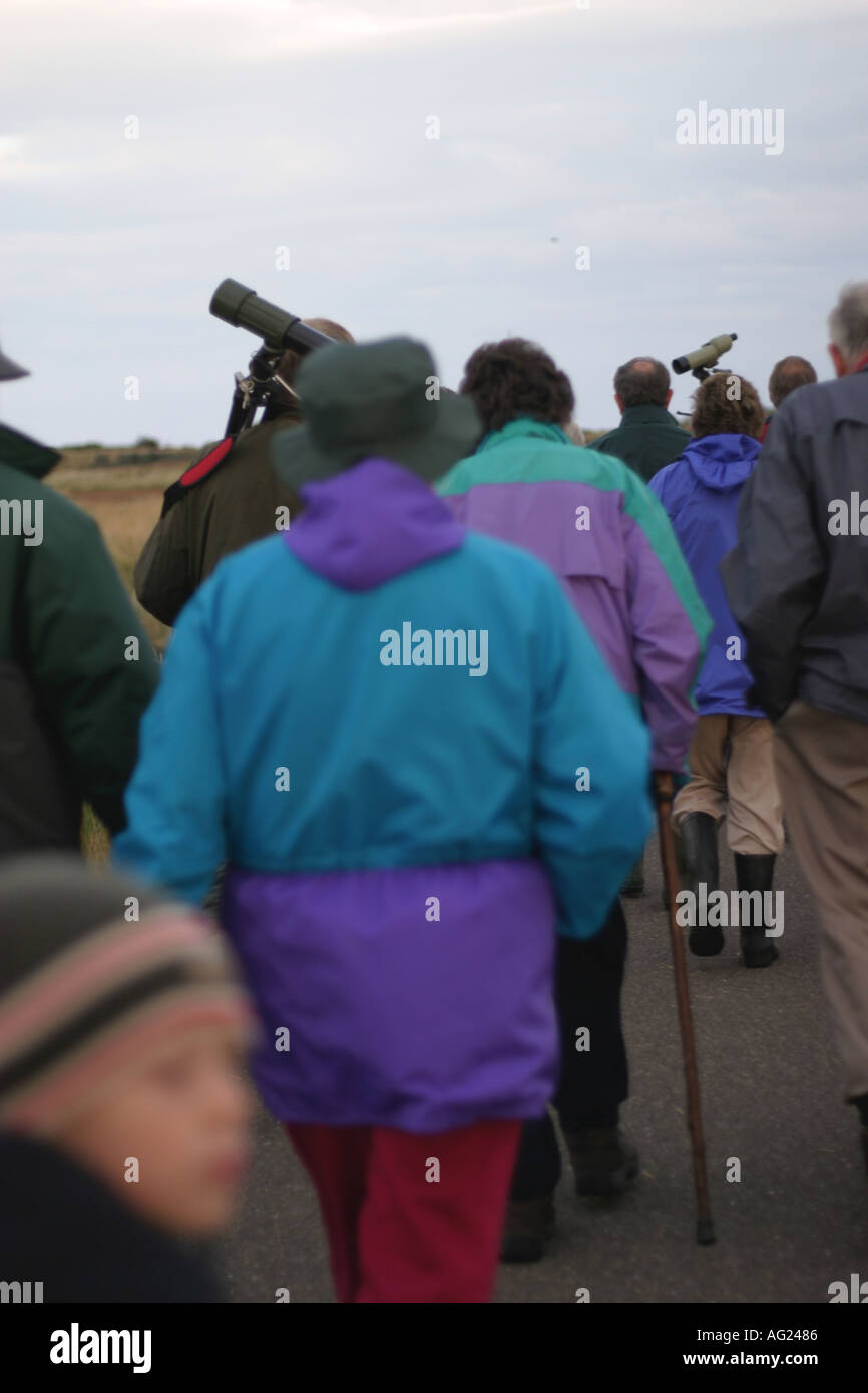 Big group of Bird Watchers walking Stock Photo - Alamy