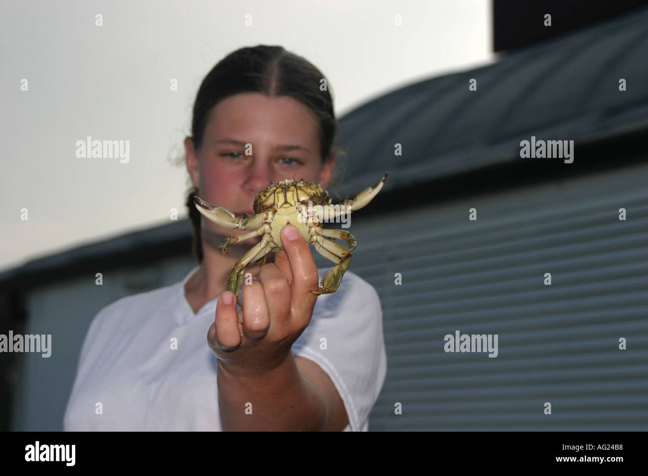 Teenage girl holding a crab Stock Photo - Alamy