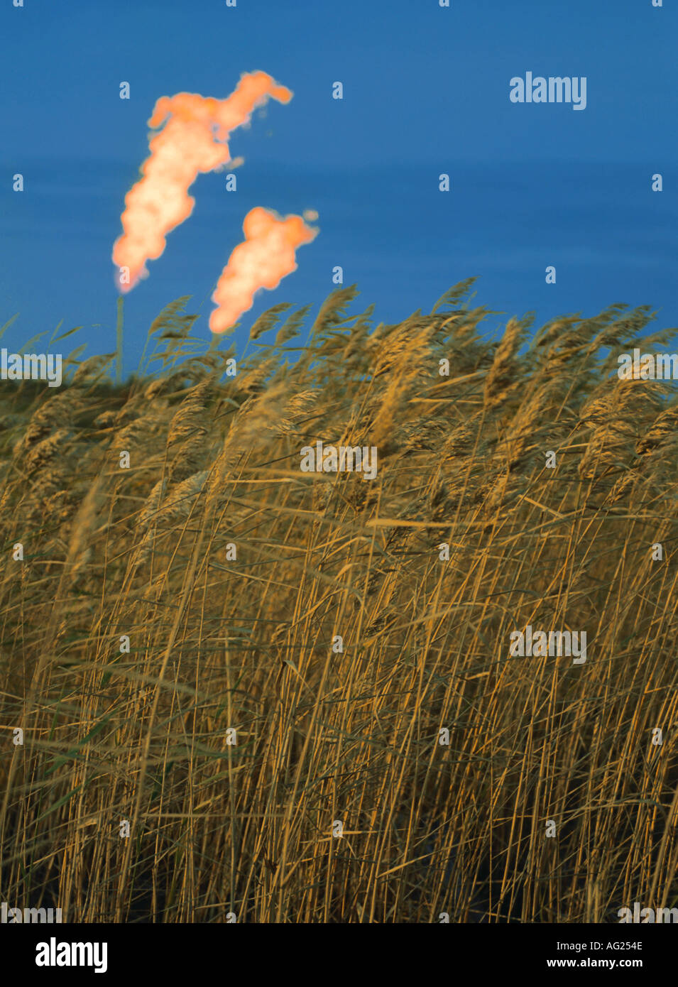 Oil shale burning hi-res stock photography and images - Alamy